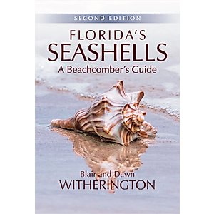 Florida's Seashells: A Beachcomber's Guide