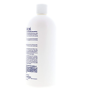 Nairobi Exquisite Hydrating Detangling Shampoo for Unisex, 32 Ounce by Nairobi