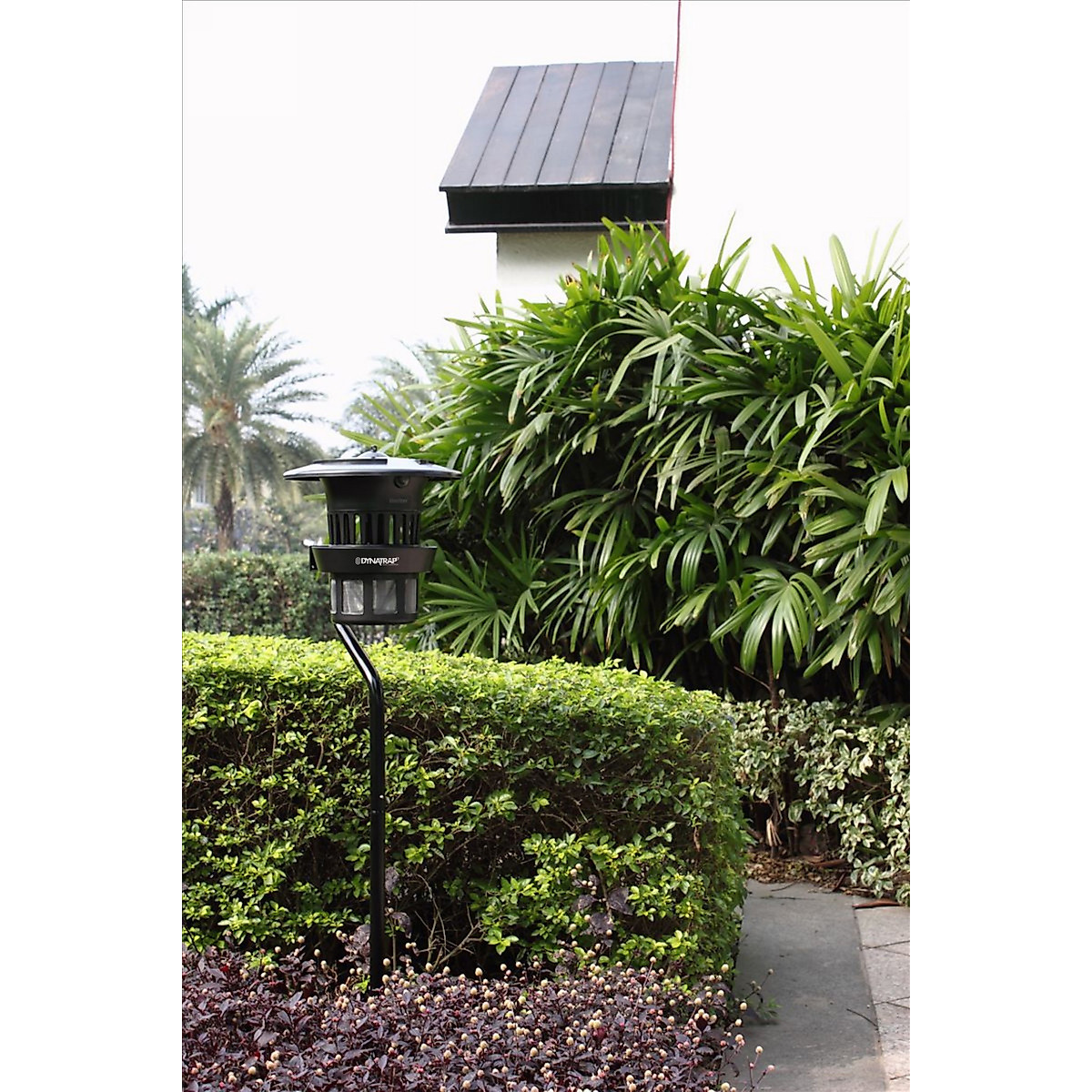 Dyntrap Insect Trap, 1/2 Acre Pole Mount With Water Tray