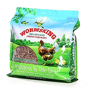 5LB Dried Mealworms 100% Non-GMO, Mealworms for Chickens, Blue Birds, Ducks, Small Pets
