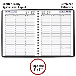 AT-A-GLANCE 2020 Weekly Appointment Book/Planner, DayMinder, 8" x 11", Large, Black (G52000)