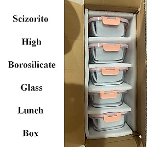 Scizorito 10PACK Glass Meal Prep Containers, for Lunch Food & Fruit Storage with Lids,Glass Lunch Box for Kitchen (10-Pink)