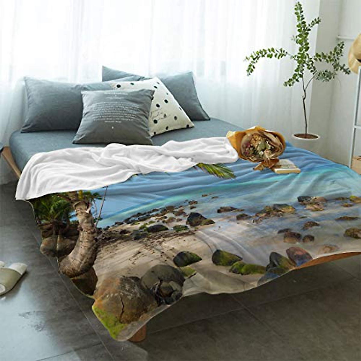 ANNAMALL Throw Blanket,40x50 Inch Palm Tree Beach Sea Cloud Blue Sky Island Reef Stone Microfiber Throw Blankets Warm Cozy Lightweight Blanket for Sofa,Bed,Camping,Picnic