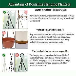 Koalaime Hanging Planter Self Watering 10 Inch, 2 Pack Indoor Outdoor Hanging Baskets, Hanging Flower Pots with Drainage Hole & 2 Kinds of Plant Hangers for Garden Home Decor(Cream)…