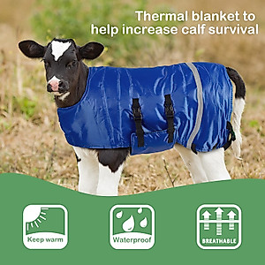 Dunzy 4 Pcs Winter Calf Blanket Calf Warm Clothes Waterproof Calf Warming Blanket Windproof Calf Jacket Livestock Calf Saver Coat for Keeping Cow Warm Thickened Belly Protection (Heavy Fleece Style)