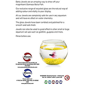 Pisces Gold Betta Jewels 17oz for Siamese Fighting Fish, Betta Fish, Goldfish, Guppies