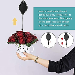 3 Pack Plant Pulley Hanger, Retractable Plant Hook Pulley, Adjustable Heavy Duty Plant Hanging Pulleys for Garden Baskets & Bird Feeder with 3 PCS Gold Metal Ceiling Plant Hooks (Black - 3 Pack)