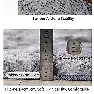 Soft Indoor Modern 3x5 Area Rugs Shaggy Fluffy Carpets for Living Room and Bedroom Nursery Rugs Abstract Home Decor Rugs for Girls Kids Dark Grey