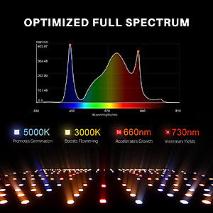 Spider Farmer 2024 New EVO SF1000 LED Grow Light with Samsung LM301H EVO High Efficiency & Dimmable Lighting Full Spectrum Grow Light for Indoor Plants Veg Bloom Growing Lamps for 2x2/3x3 Grow Tent