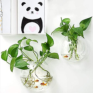 2Pack 5.9'' Wall Mounted Clear Acrylic Round Fish Tank Flower Pot Vase Decoration Wall Hanging Mount Fish Bowl Fish Bubble Aquarium Decorative Plant Pot Hanging Hydroponic Pot