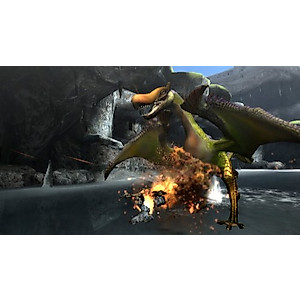 Monster Hunter Tri - Standard