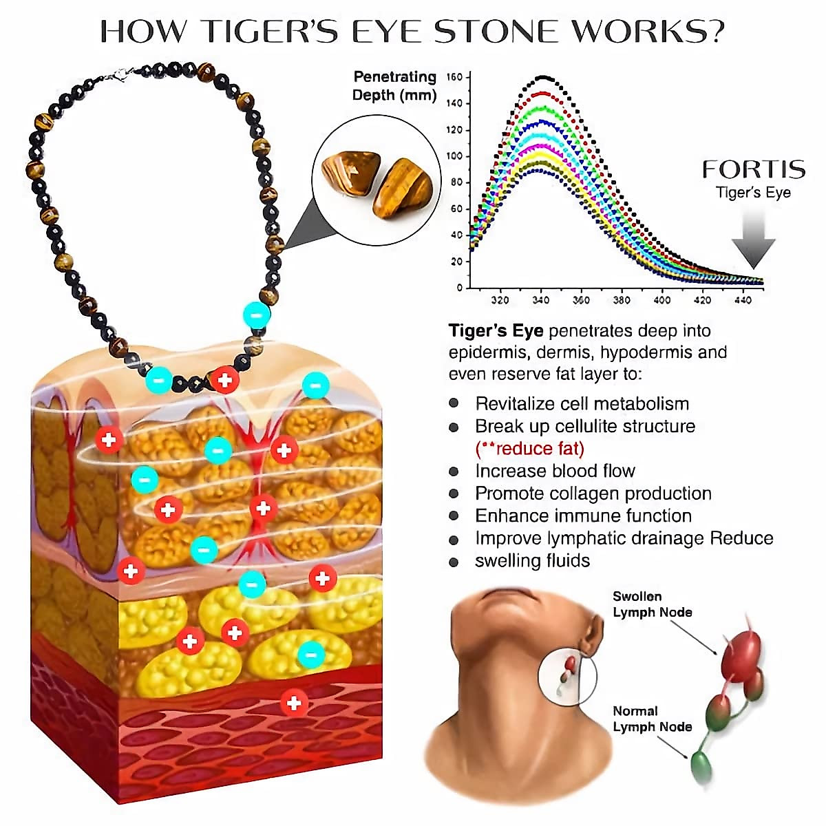 lunhaifi Fortis Marvik Chalcedony Beaded Necklace, Fortis Chalcedony Beaded Necklace, Natural Tiger Eye Beads Beaded Necklace Chain for Men/Women Effective Body Detoxification (2Pcs)