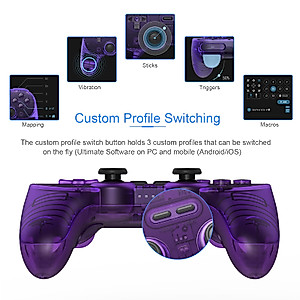 AKNES 8BitDo Pro 2 Bluetooth Wireless Controller for Switch/Switch OLED with Joycon Thumb Grip Caps - Gamepads for Steam Deck, MacOS, iOS, PC, Android & Raspberry Pi (Clear/Transparent Purple)