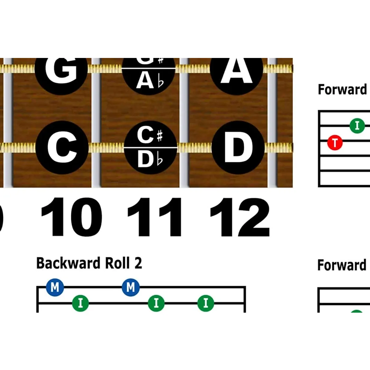 Dobro Open D Tuning Resonator Guitar Fretboard Note & Rolls Chart - Beginners & Intermediate Instructional Easy Poster Chords 11x17 | A New Song Music