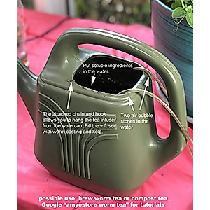 Root Vegetable Seeds for Planting Vegetables and Fruits,Non-GMO Heirloom Vegetable Seeds Vegetables Seeds at Home Vegetable Garden and Hydroponics Seed Pods (600ct Danvers Carrot Seeds, 1 Gram)