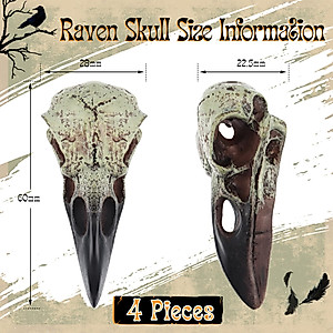 Geetery Halloween Raven Skull Figurine Scavenger Gothic Crow Hanging Wall Sculpture Resin Raven Skull Statue for Home Faux Bird Bone Jewelry Necklace Decor(2.36 Inch,4 Pcs)