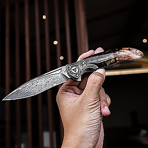 TRIVISA Damascus Folding Knife for Men,3.6'' Hand Forged 110 Layers Steel Hunting Blade,Resin and Wood Handle with Pocket Clip,Virgo-07Y