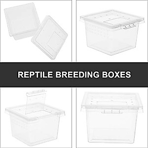 balacoo 100Pcs Reptile Breeding Box Plastic Transparent Feeding Case Hatching Container with Lid for Spider Scorpion Gecko Insect Snake Tortoise