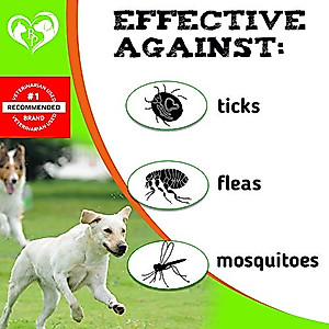 Flea and Tick Prevention Chewable Pills for Dogs - Revolution Oral Flea Treatment for Pets - Pest Control & Natural Defense - Chewables Small Tablets Made in USA… (Bacon)