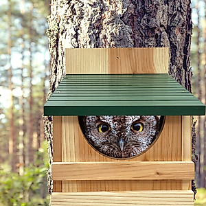 Prolee Screech Owl House Hand Made, 100% Cedar Wood Owl Box with Mounting Screws and A Bag of Wood Shavings, Easy Assembly Required (Basic)
