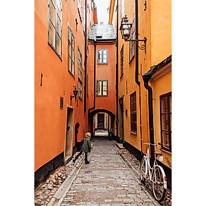 Nikon NIKKOR Z 28mm f/2.8 | Compact standard prime lens for Z series mirrorless cameras | Nikon USA Model