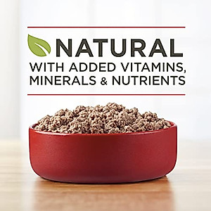 Purina ONE Wet Dog Food True Instinct Classic Ground Grain-Free Formula With Real Beef and Wild Caught Salmon High Protein Wet Dog Food - (Pack of 12) 13 oz. Cans