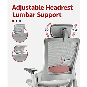 CLATINA Ergonomic High Swivel Executive Chair with Adjustable Height Head 3D Arm Rest Lumbar Support and Upholstered Back for Home Office Gray Mesh/High Back