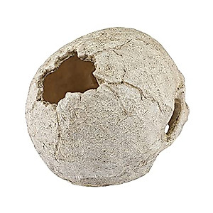 Half Skull Reptile Amphibian Habitat Hide – Premium Non-Toxic Resin for Aquariums & Terrariums – Large Size