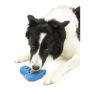 PetSafe BB-Penguin-ML Chilly Penguin Treat Holding Dog Toy, Medium/Large, for Large Breeds