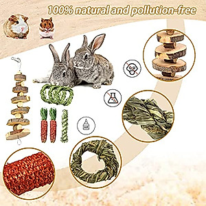 DJun Bunny Chew Toys for Teeth Include Natural Apple Branch String Timothy Hay Sticks Timothy Hay Ring Timothy Hay Carrot for Rabbit Rodents Guinea Pigs Chinchilla Hamster (Style 1)