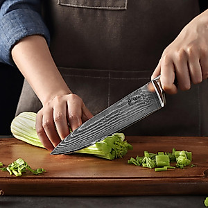 Wakoli Chef Knife, 8-inch Blade Damascus Knife made from 67 Layers of Damascus Steel with VG10 Core, Ergonomic Kitchen Knives with Pakkawood Handle for All Tasks in Gift Box (EDIB)