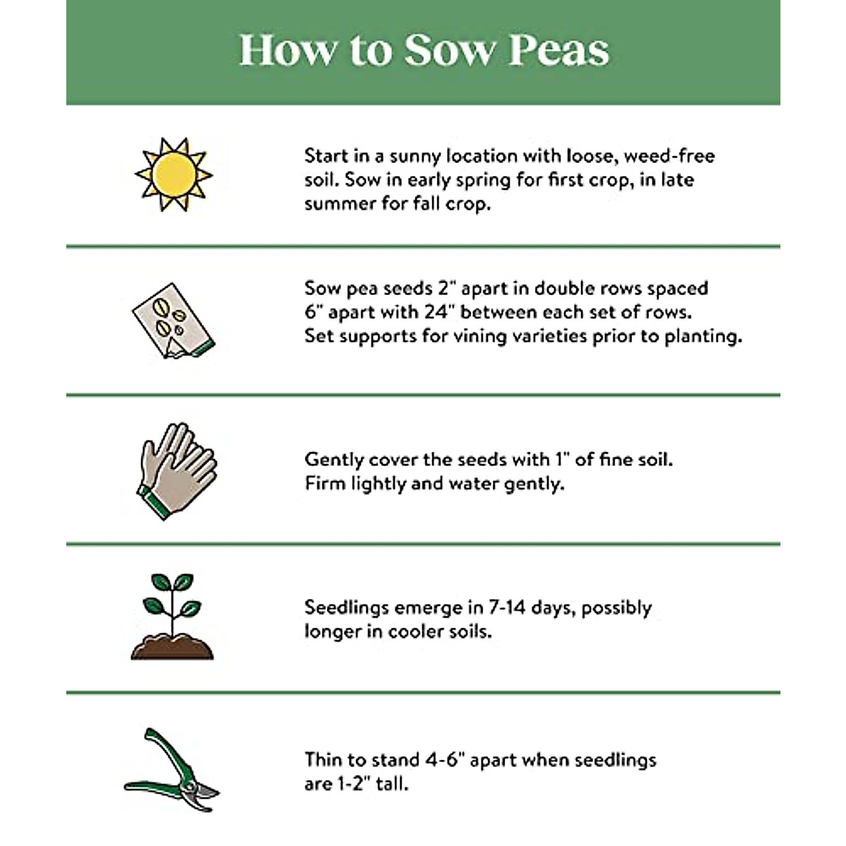 Burpee Sugar Snap Pea Seeds 300 seeds