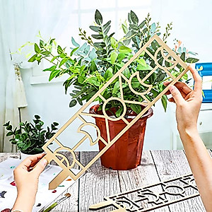 Yalikop 2 Pieces Wooden Small Indoor Trellis Plant Trellis Climbing Plants Hexagon Trellis Potted Plants Trellis Vine Supports Garden Trellises 10 Pieces Black Cable Ties Plant (Moon)