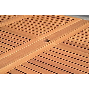 Brampton 9 Piece Outdoor Eucalyptus Extendable Dining Set | Perfect for Patio | with Teak Finish