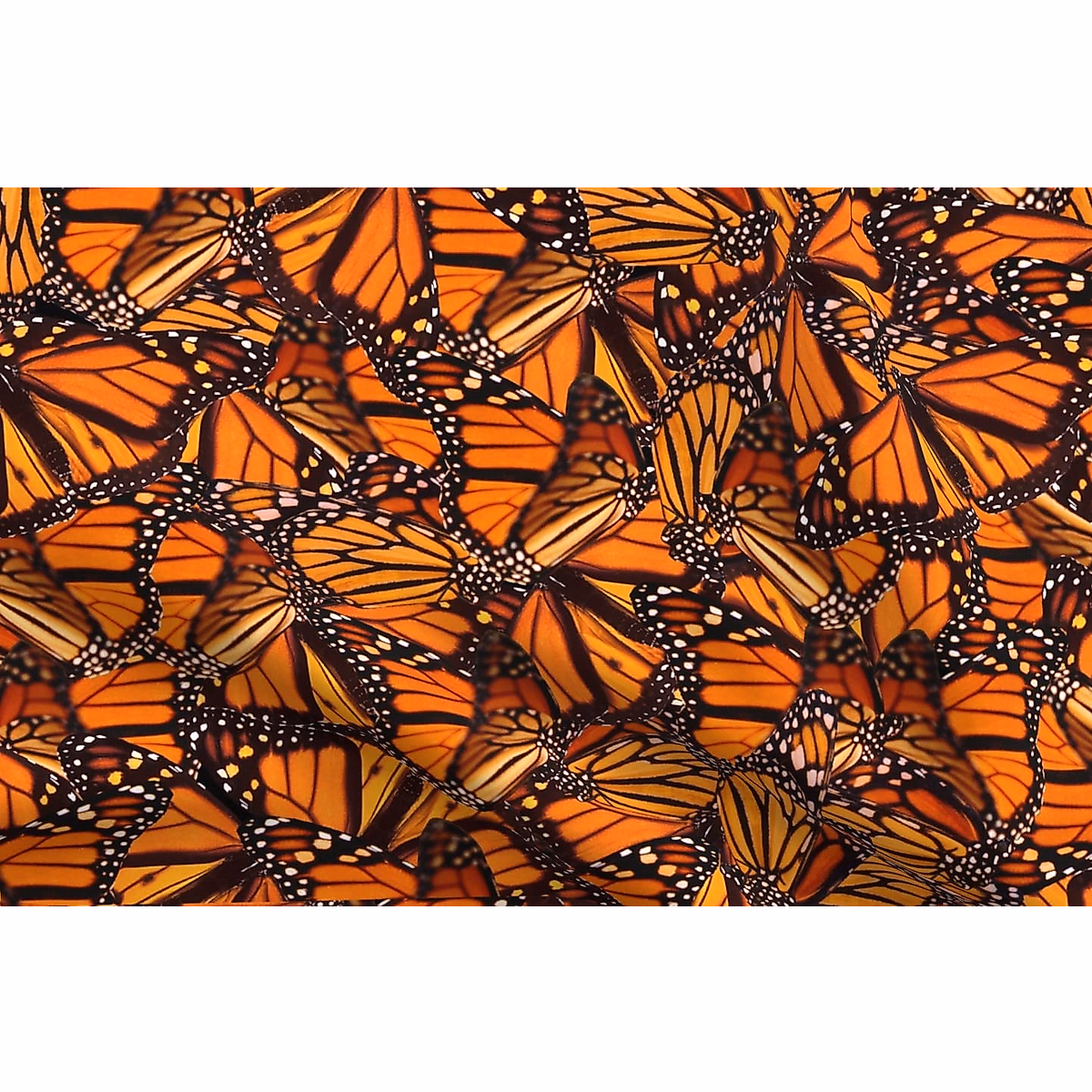 Spoonflower Fabric - Monarch Butterfly Orange Summer Wings Insect Printed on Petal Signature Cotton Fabric by The Yard - Sewing Quilting Apparel Crafts Decor
