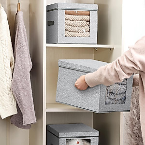 Homsorout Fabric Bins for Storage - Decorative Storage Basket with Lid, Clothes Storage Cubes with Side Window, Collapsible Storage Containers for Home, Deep Shelves, 4 Pack, Light Gray