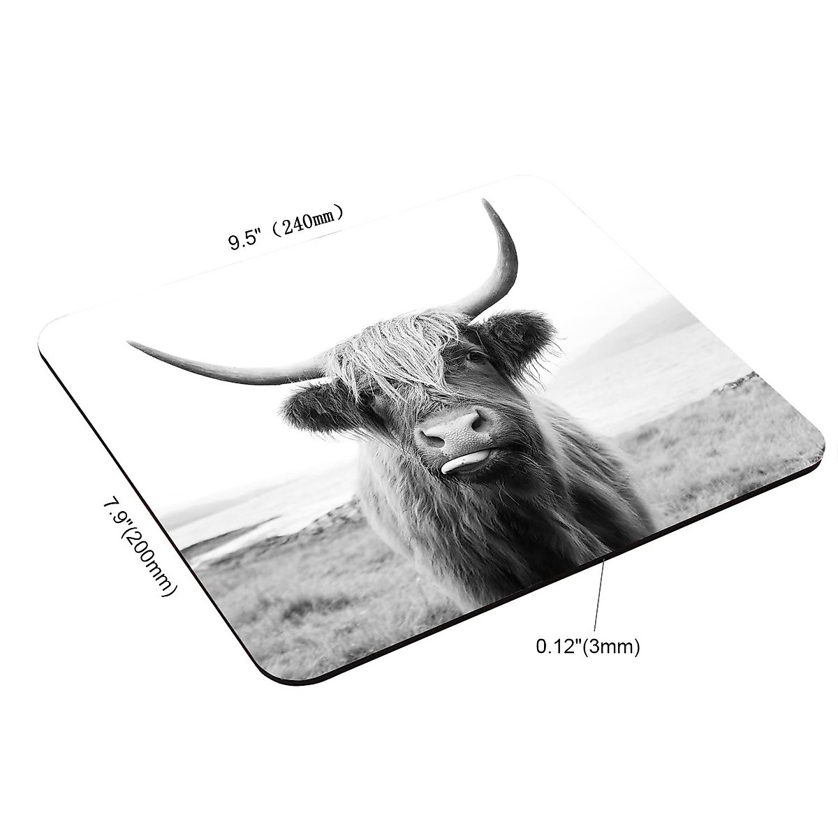 Black and White Mouse Pad, Scottish Highland Cow on Isle of Mull Mouse Pad, Mouse Mat Square Mouse Pad Non Slip Rubber Base MousePads for Office Laptop, 9.5"x7.9"x0.12" Inch
