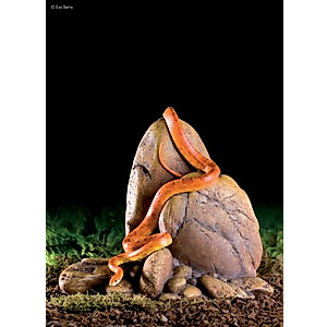 Exo Terra Rock Outcrops - Small