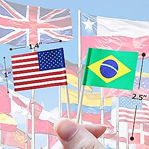 Anley Assorted 100 Different Countries Toothpick Flag - Vivid Double Sided Print & Solid Smooth Pick - Party Decoration Cocktail Fruit Stick Cupcakes Toppers(100 pcs)
