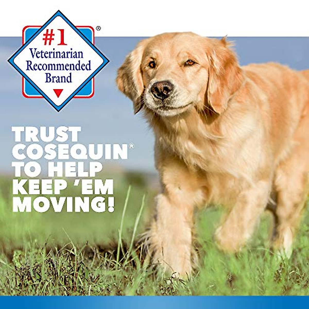 Cosequin DS Maximum Strength Plus MSM & Boswellia Joint Health for Dogs Tasty Soft Chews (120 Count)