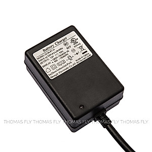 6 Volt Battery Charger for Kids Ride On Car, 6V Charger for Mercedes A45 Batman Car Disney Frozen 3-Wheel Scooter Powered Ride On Toys A Plug