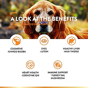 NaturVet Senior Advanced 5-in-1 Support Dog Supplement – Helps Support Immune System, Heart, Liver, Cognitive Function, Eye Health – Includes Ginkgo Biloba, Lutein – 60 Ct.