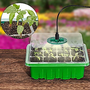 JAYWAYNE 5 Pcs Seed Starter Tray with Grow Light, Seed Starter Kit with Humidity Dome Germination Tray (60 Cells Tray), Plant Starter Kit for Starting Vegetable Seeds, Flower Seeds & Herb Seeds