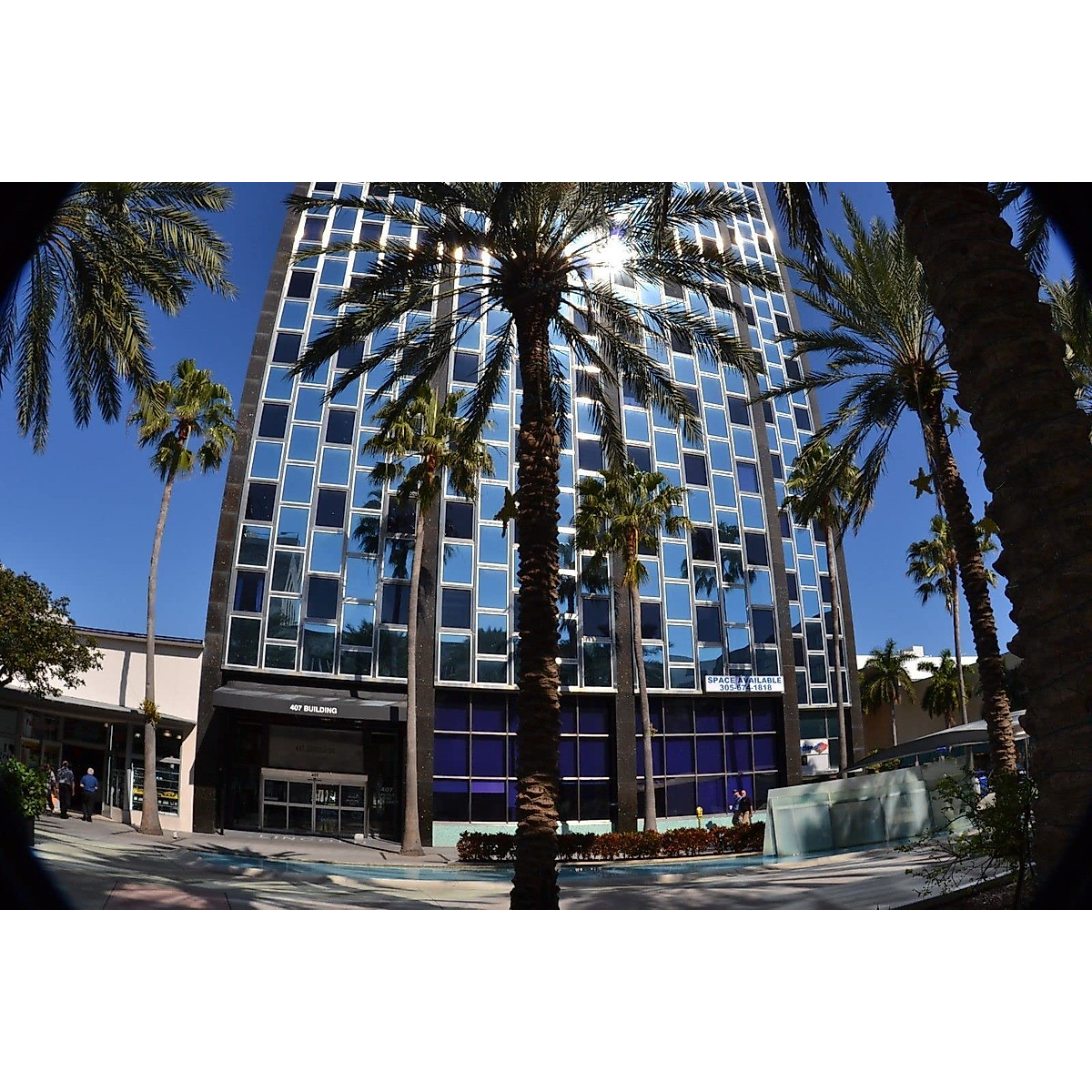 Wide Angle + Macro Lens for Canon EF 75-300mm f/4-5.6 III Lens EOS Rebel T5 T7