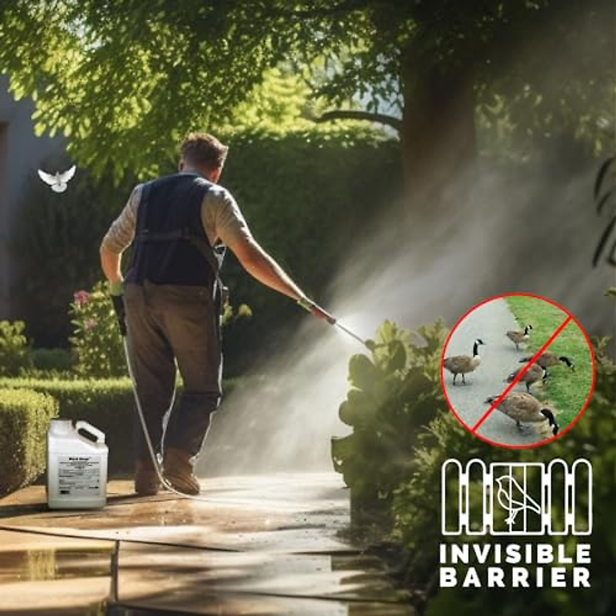 Bird Repellent, Bird Stop