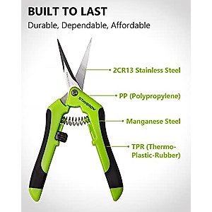 STAYGROW 2pcs 6.5" Pruning Shears for Gardening, Ultra Sharp Garden Scissors for Precise Cuts, Stainless Steel Bonsai Clippers with Spring Loaded, 6.5 Inch Garden Shears (1pc Straight & 1pc Curved)