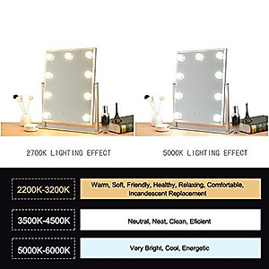 MRDENG Vanity LED Light Bulbs 40 Watt for Vanity Mirror, G16.5 3.5W Globe LED Bulb, E26 Socket, Warm White (2700K) Pack of 6