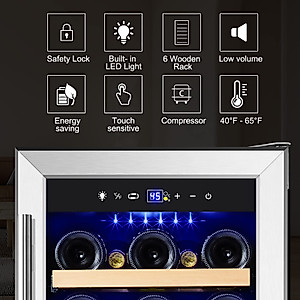 Tylza 15 Inch Wine Cooler Under Counter, 30 Bottle Capacity, Stainless Steel Tempered Glass Door, Constant Temperature Technology, Removable Shelves, Smart Control, 3.6 Cubic Feet