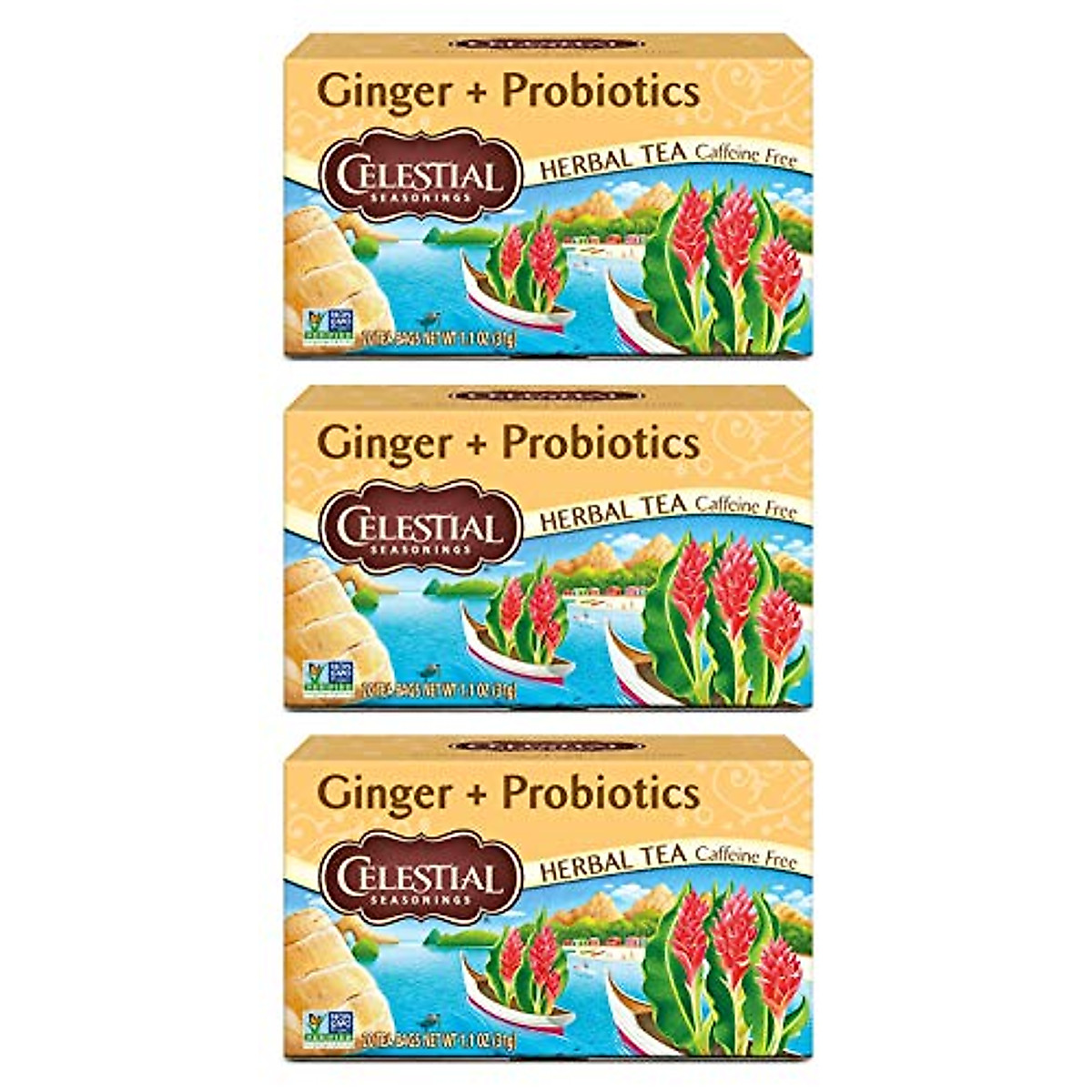 Celestial Seasonings Herbal Tea, Ginger Plus Probiotics, 20 Count (Pack of 3)