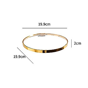 Modern Floating Glass Shelf with Golden Metal Ring for Plants, Books and Other Decorations, Transparent Hanging Shelves in Rooms, Corridors and Wall